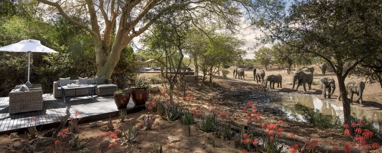 andBeyond Ngala Safari Lodge - Südafrika | bei LANDMARK buchen