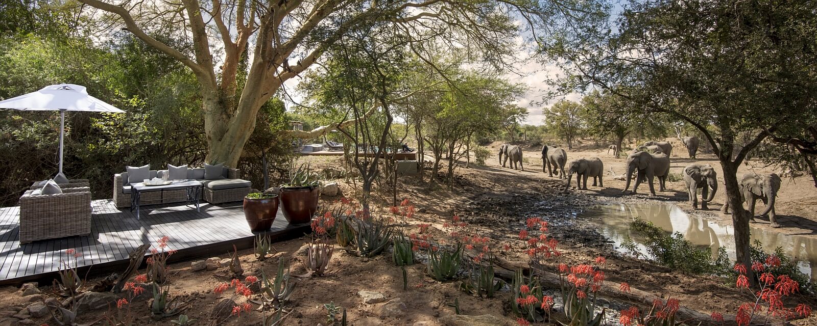 andBeyond Ngala Safari Lodge - Südafrika | bei LANDMARK buchen